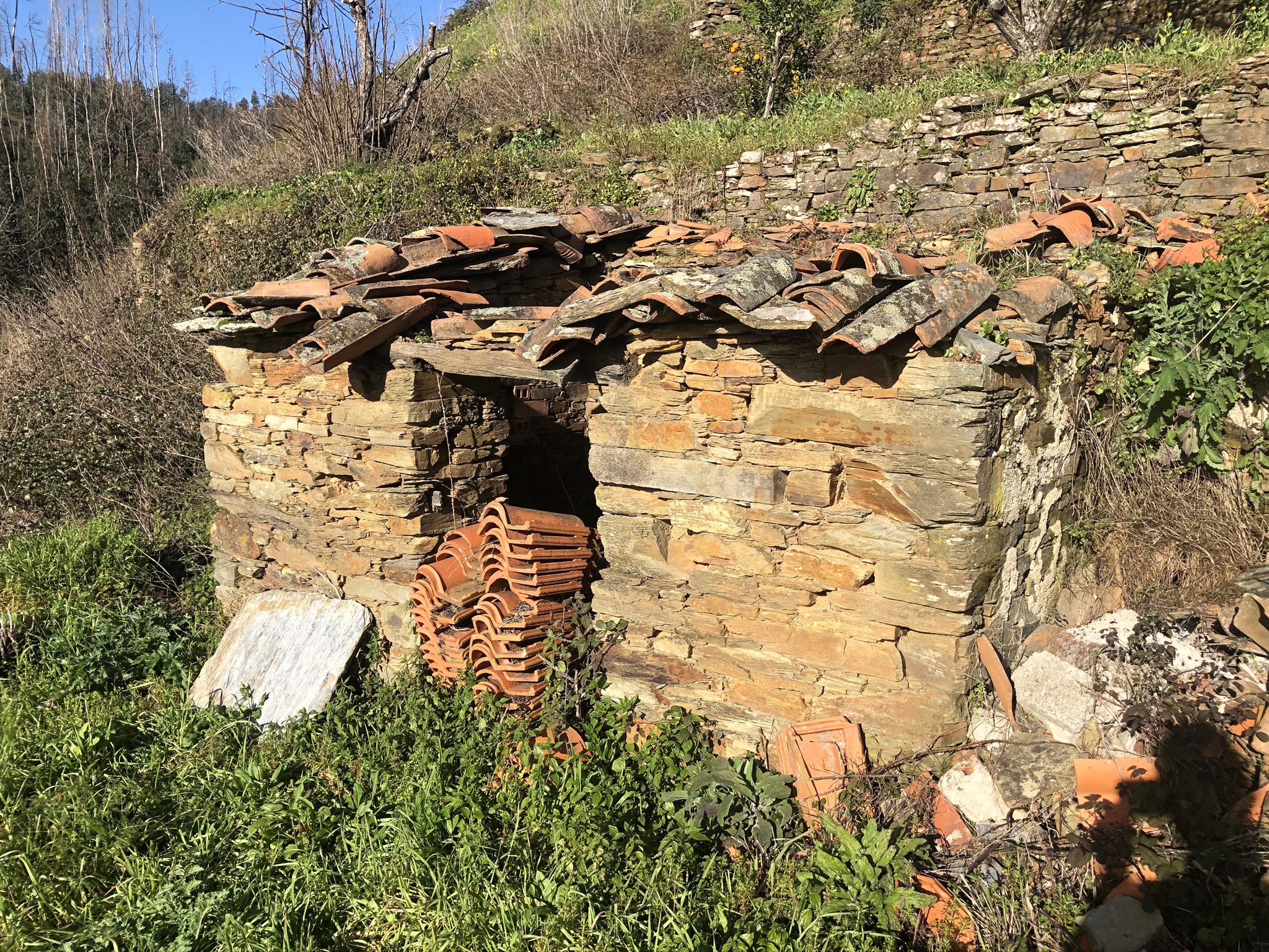 RENOVATING THE RUIN (PART 1) - Casa Valhal