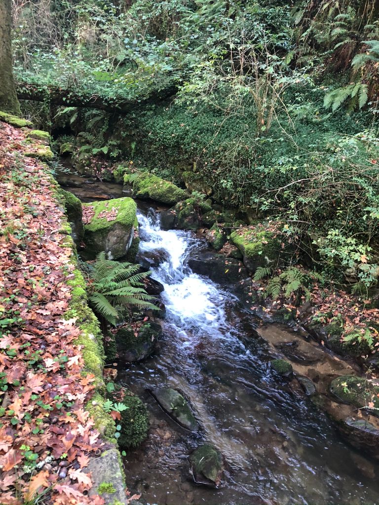 CABREIA CASCATA & MINAS DO BRAÇAL HIKING TRAIL (SEVER DO VOUGA PR2.3 ...