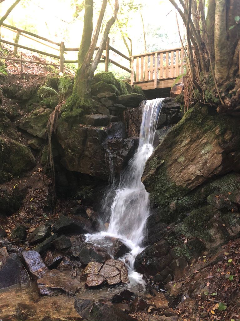 CABREIA CASCATA & MINAS DO BRAÇAL HIKING TRAIL (SEVER DO VOUGA PR2.3 ...